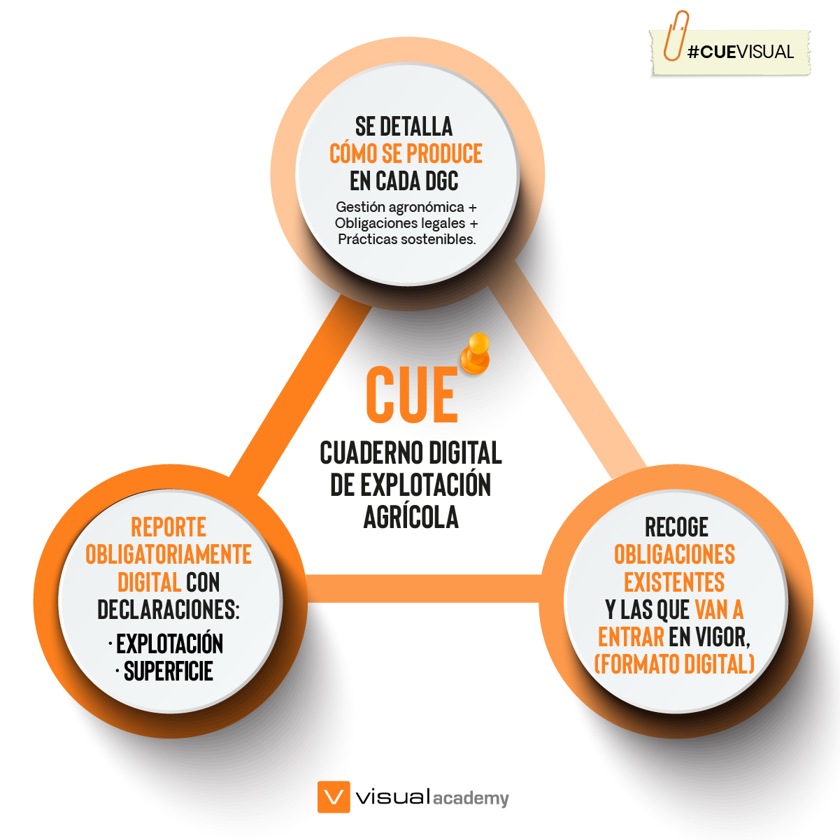 Qué son el CUE, REA y SIEX - VISUAL