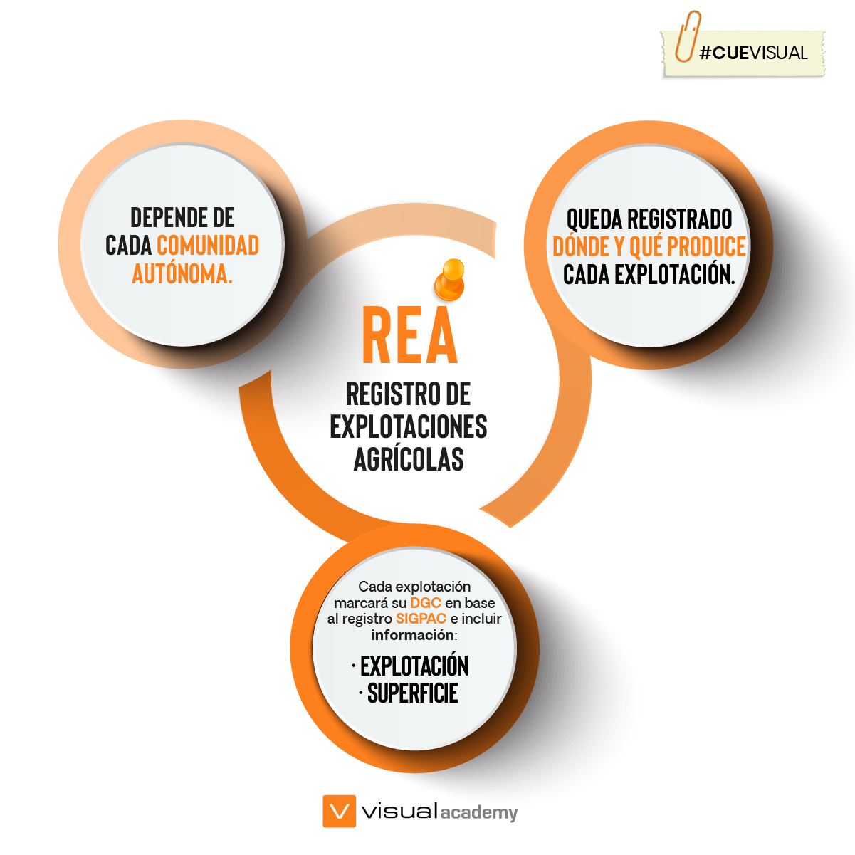 Qué son el CUE, REA y SIEX - VISUAL